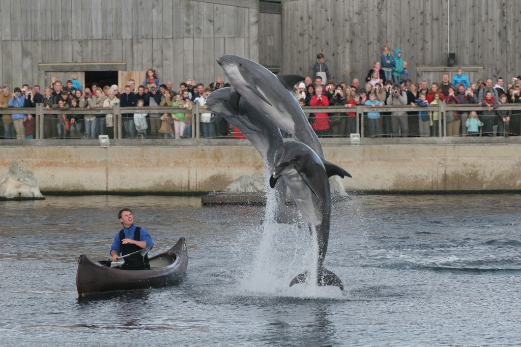Le Dolfinarium Harderwijk aux Pays-bas