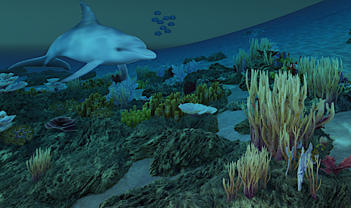 La Dolphin Connection VR software